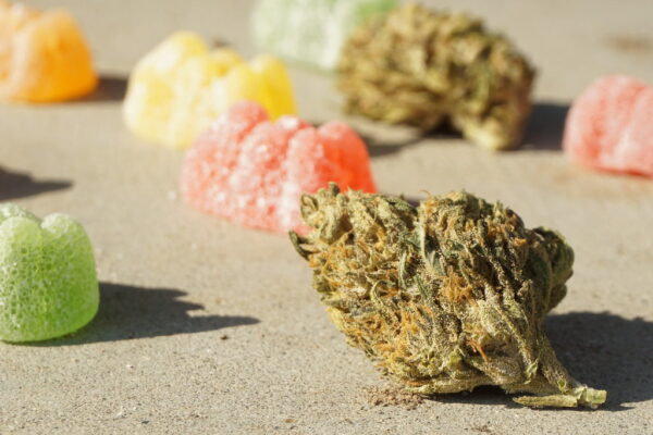 Spice, Salvia, and Delta-8 THC: Understanding the Differences - BakedBags